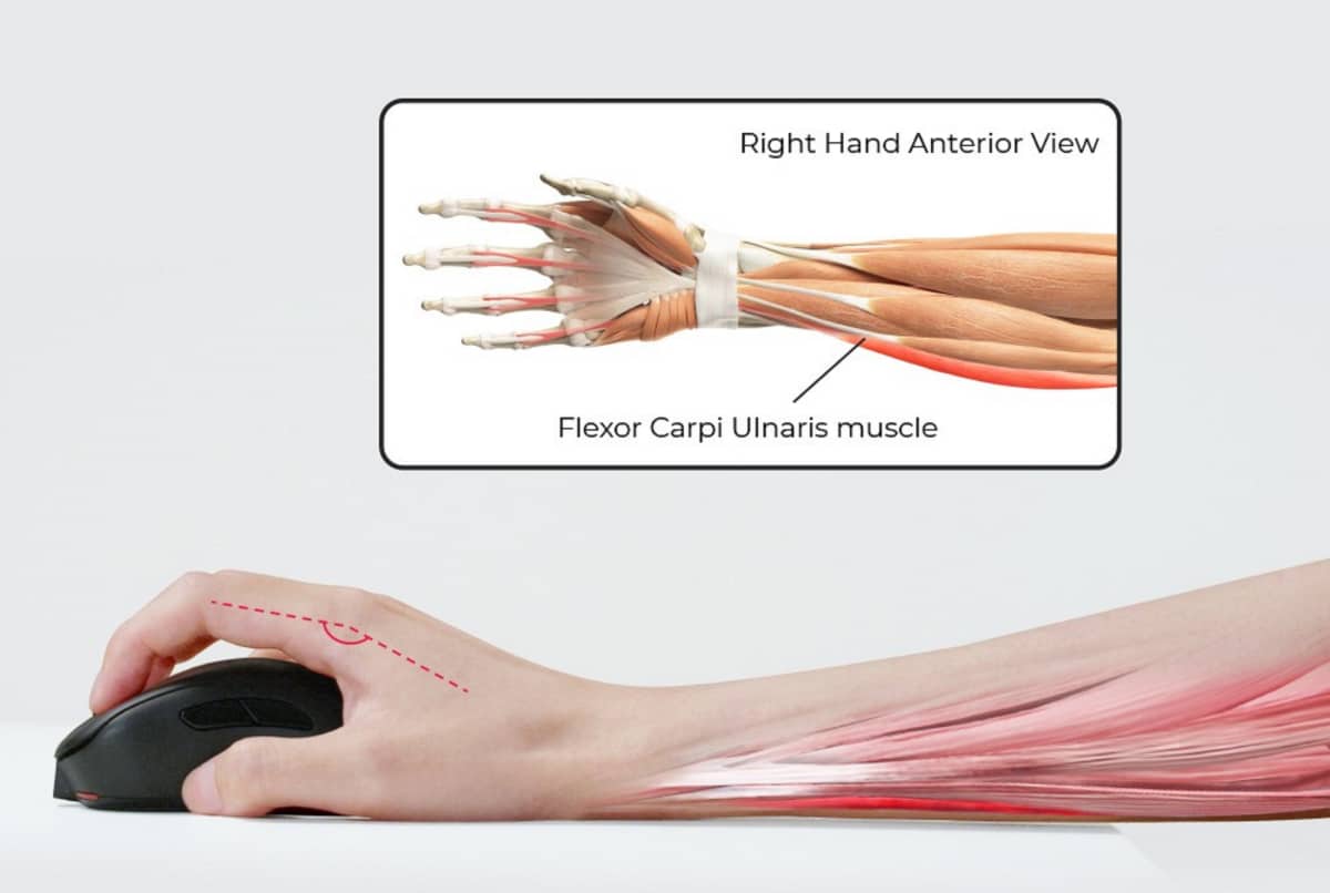 ZOWIE launches the EC-CW Series, the first wireless mouse for esports ...